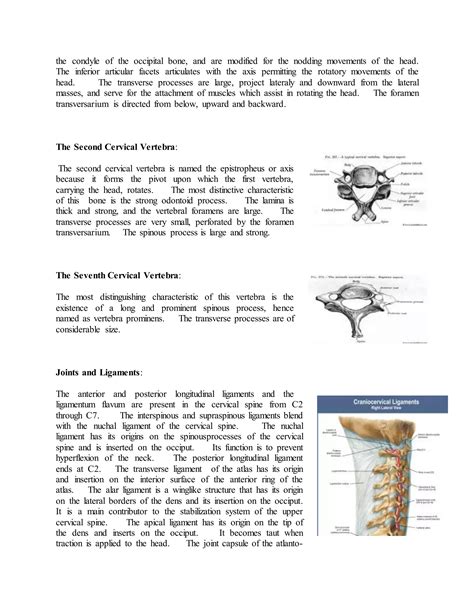 Assignment Cervical Spine DOCX