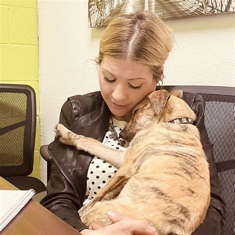 Kim Mclaughlin Youtube