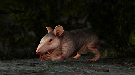 Naked Rat GameDev Market