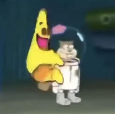 Potassium Content R Patrig