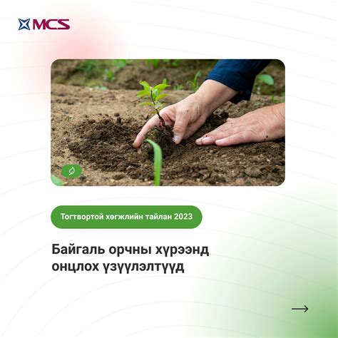 Mcs Group Оддын үйрмэг мэт гялалзах цасан ширхгүүд оройн гэрлээрээ гоёх сүлд модод сэтгэл