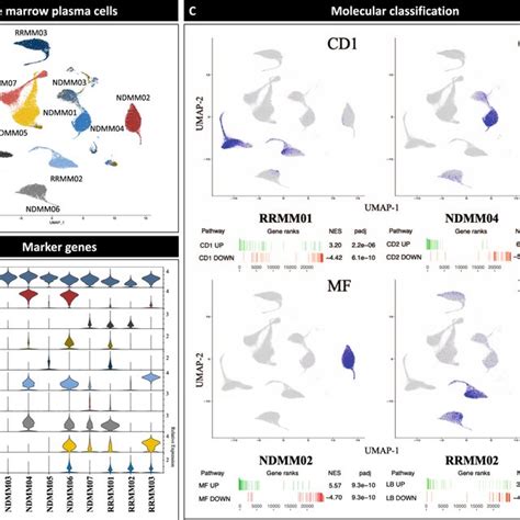Single Cell Rna Sequencing Demonstrates Inter Patient Heterogeneity And Download Scientific