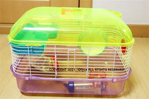 [ 햄스터 집 ] 햄스터 하우스 기본 집 헬로마켓