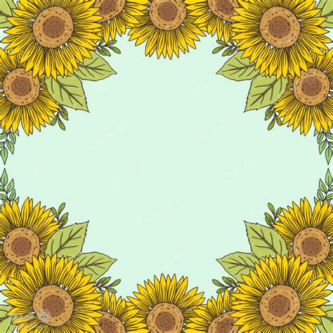 وکتور رایگان لایه باز Eps و Ai حاشیه گل آفتابگردان و کادر برای نوشتن مناسب بنروبسایت یا پوستر کد