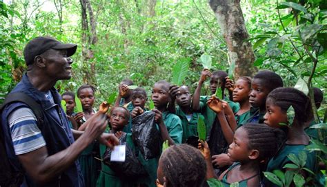 Redd Projects Forest Conservation Climate Impact Partners