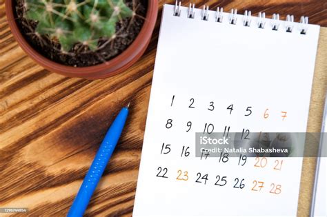 2021 개월 일정에 대 한 화이트 달력 약속을 하거나 다육 점 및 마크에 대 한 볼펜나무 테이블에 매일 일정을 관리 작업 계획에 대 한 0명에 대한 스톡 사진 및 기타