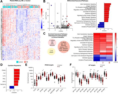 Myocardial Infarction Platelet Gene Expression Signatures In Women