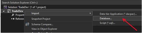 SSRS 4 SQL Server Database Project In Visual Studio