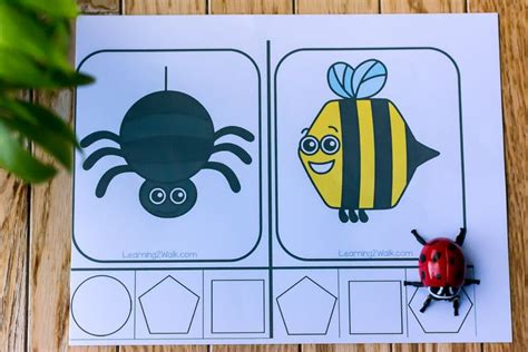 Quick Fun And Easy Bug Shape Activity Shapes Activities Clip Cards Teaching Shapes