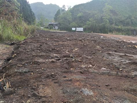 尾矿库重金属污染微生物原位修复技术介绍 天厚安环管家 专业的环保治理解决方案提供商