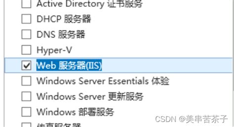 Winserver Iis 下搭建 Asp Web 应用windows Server部署asp Csdn博客