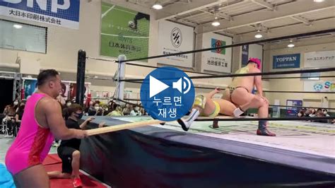 일본 프로레슬링 근황 유머 움짤 이슈 에펨코리아