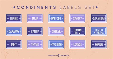 Set Of Flat Condiment Labels Set Vector Download