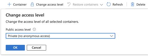 Blob Container Private Access Vulnerability Database Aqua Security