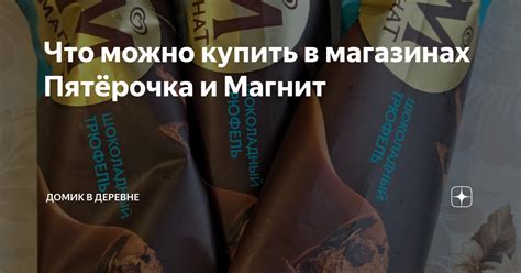 Что можно купить в магазинах Пятёрочка и Магнит Домик в деревне Дзен