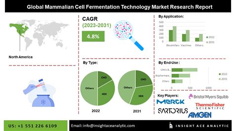 Fermentation Cell Diagram