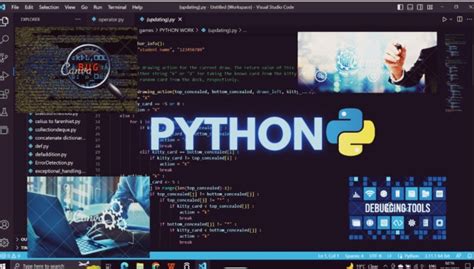 make professional python scripting solutions and automation services by