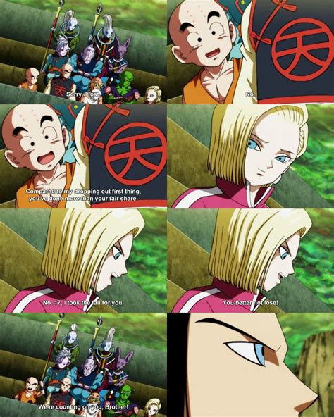 Android Krillin Zaunmaler