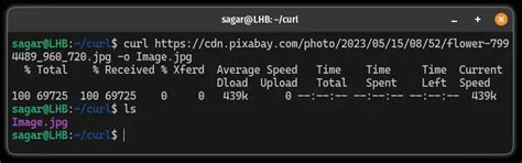 How To Save Curl Output To A File