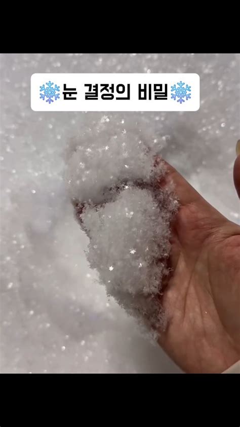 세모정 유머 정보 리뷰 윗 집 공사하다 우리집 천정까지 뚫릴 확률 몇 Instagram