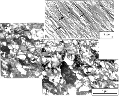Displays A Typical Grain Size Distribution Function The Examined Download Scientific Diagram