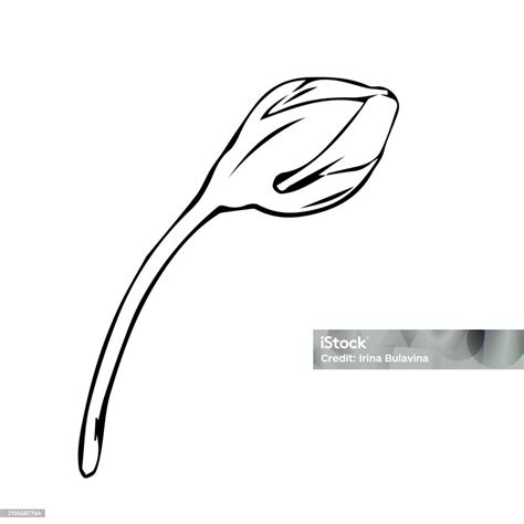 손으로 그린 사쿠라 새싹 낙서 스타일로 검은 잉크로 칠해져 있습니다 벡터 검은 선 잎 결혼식 생일의 인사말 카드 및 초대장에 대한 디자인을 위한 스케치 개요 아트