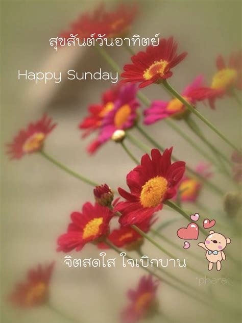 ปักพินโดย Patinan Naknarumit ใน วันอาทิตย์ วันอาทิตย์