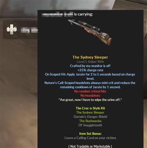 Fix Itempanel Overlap With Footerheader Bar · Issue 306 · Rbjaxterbudhud · Github