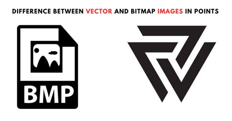 what is the difference between vector and bitmap images in points by