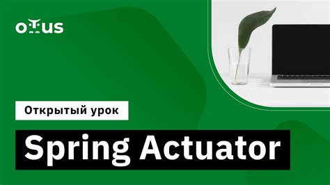 Spring Actuator Демо занятие курса Разработчик на Spring Framework Youtube