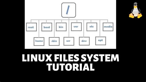 Linux File System Explained At Angelina Varley Blog