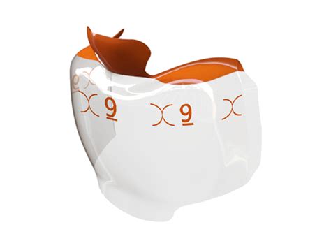 Clinical Research Dental Bioclear Evolve Posterior Matrix Refills