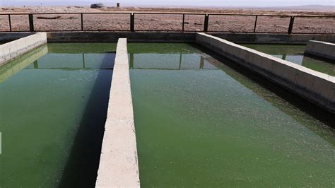 ضرورت استفاده از پساب در توسعه طرح‌های منابع طبیعی