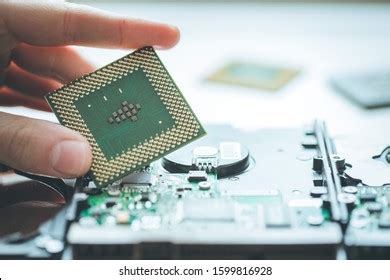Male Hand Holding Cpu Close Computer Stock Photo Shutterstock
