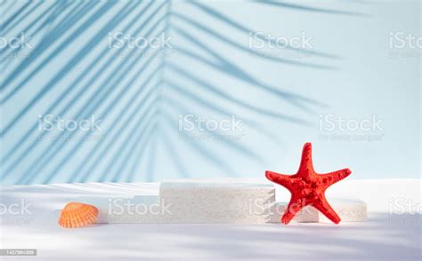 제품 연단 불가사리 조개 껍질 및 열대 야자 잎 그림자가있는 파란색 배경에 현대적인 제품이 표시됩니다 제품 디스플레이 및 비즈니스 개념에 적합합니다 배경 주제에 대한 스톡