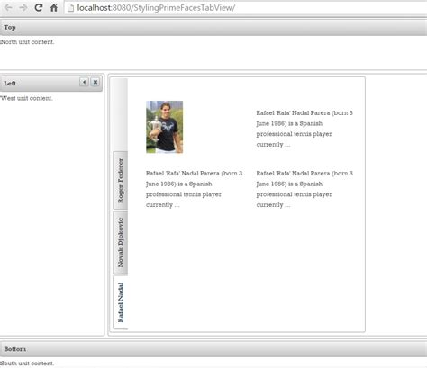 Omnifaces And Jsf Fans Styling Primefaces Tabview Vertical Tabs Withwithout Pictures
