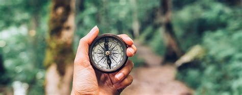 Can Humans Survive A Flip Of The Earths Magnetic Poles One Is Overdue