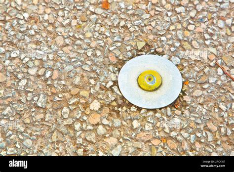 Metal Survey Point Fixed On Concrete Used For Centering The Theodolite