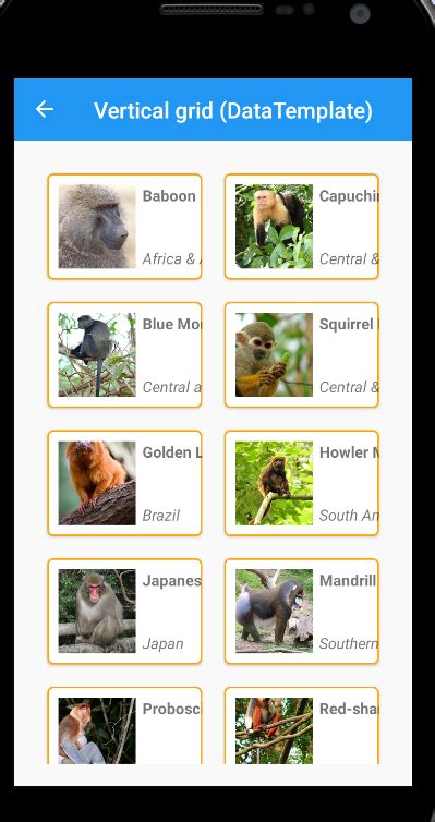 Display Cards In Xamarin Forms Microsoft Qanda