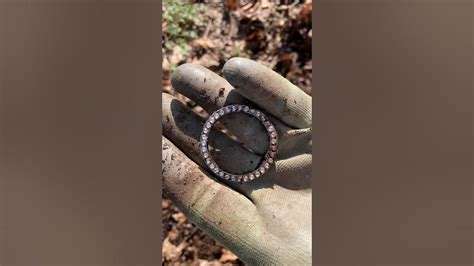 March 18 2024 Metal Detecting Youtube