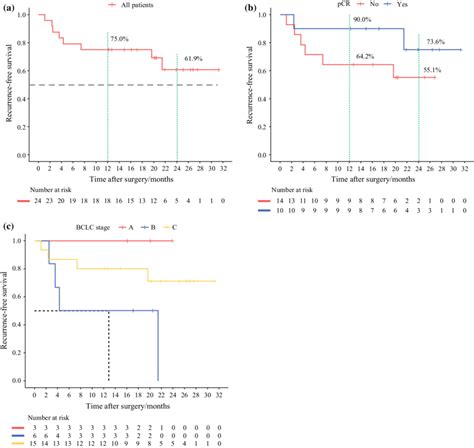 A Cumulative Plot Of Recurrence Free Survival For Patients Who Download Scientific Diagram