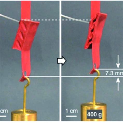 Origami Fluidic Soft Actuators A Combining A Stretchable Elastomer Download Scientific