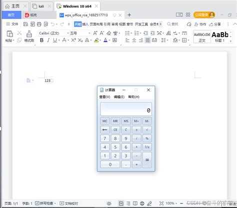 Wps Rce在wps中要如何才能使用wps Office的web扩展功能 Csdn博客