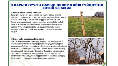 Экстра Ургамал Төв Added A New Photo Экстра Ургамал Төв