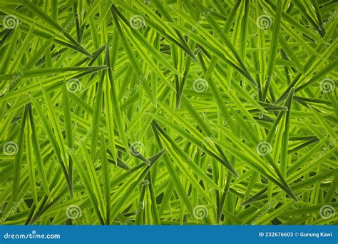Green Leaf Cell Structure Macro Shot Natural Texture Stock Image Image Of Brown Foliage