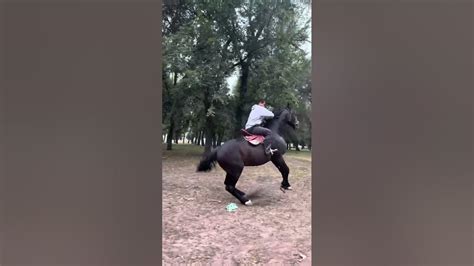 Азоо үйрөтүү. - YouTube