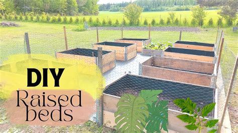 How To Build Diy Raised Garden Beds Step By Step Gardening Tips Youtube