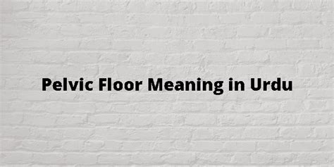 Pelvic Floor Meaning In Urdu اردو معنی