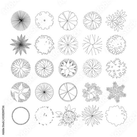 Top View And Side View Set Of Graphics Trees Elements Outline Symbol For Architecture And