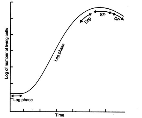 Growth Of Microbes In Batch Culture